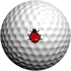 Ladybug Golf Ball Markings | Stamp Your Golf Balls – Golfdotz